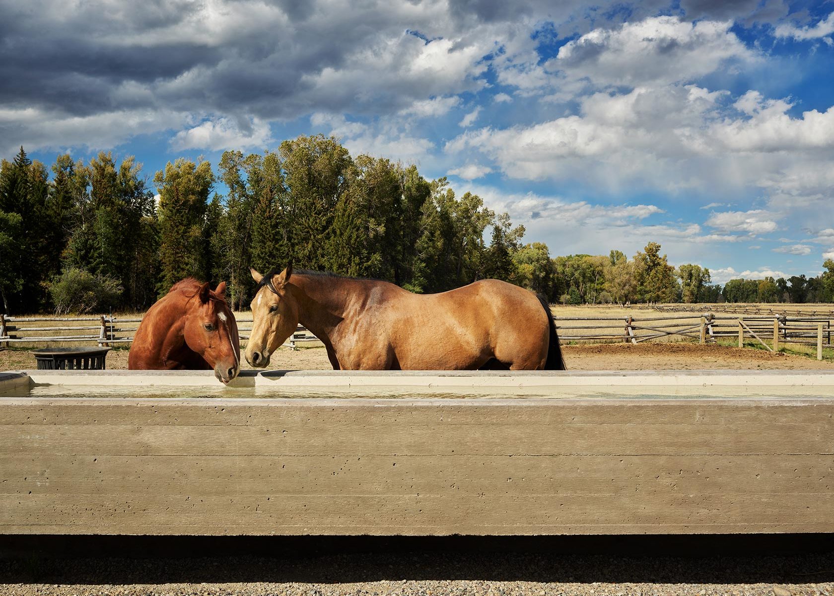Black Fox Ranch | CLB Architects